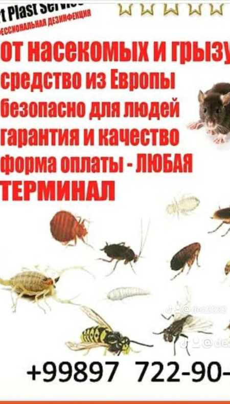 Хашоратлардан тозалаш хизмати