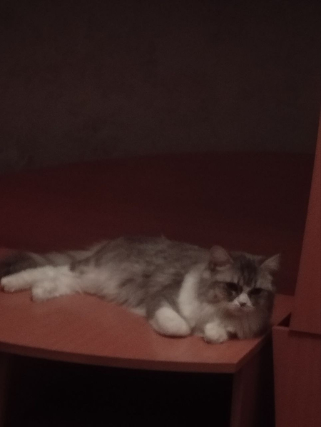 6 oylik qizbola judayam aqlli va mehribon tugʻmagan