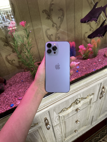 Iphone 13 pro max