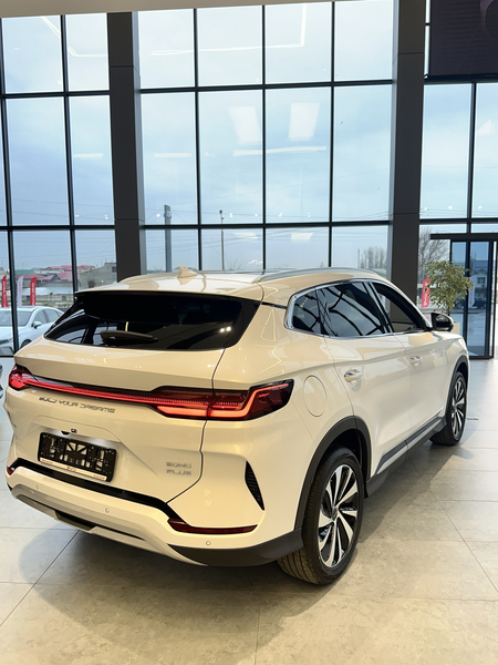 Byd champion hibrid