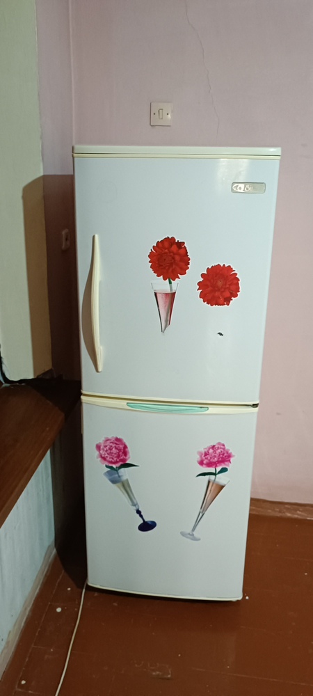 Холодильник Sino