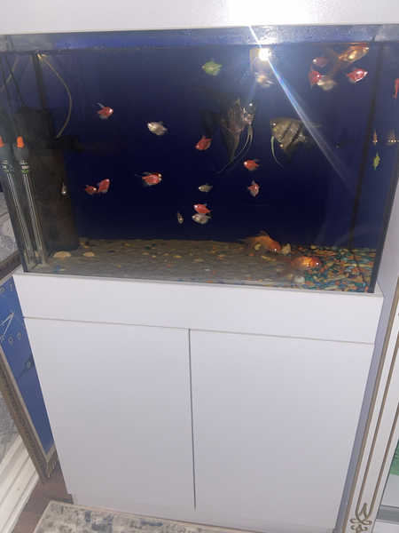Akvatin 150litr holati chotki