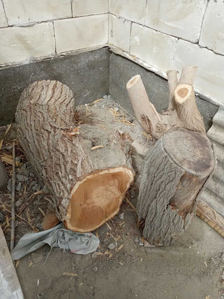 продаются  крупные дрова