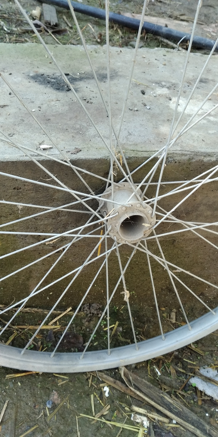 Velosiped diskasi 26