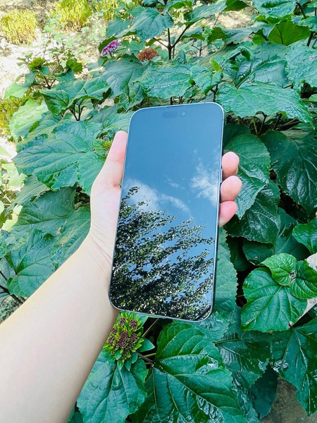iPhone 14 Pro Max 256Gb