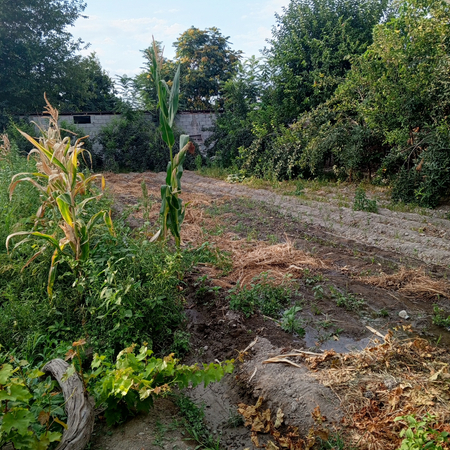 Fargona shahar yormozor sharshara MFY terakzor kochasi