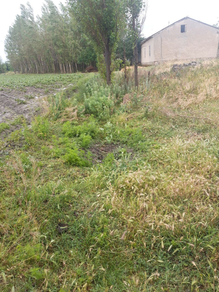 Uchaska  27 so‘tihli srochna sotiladi