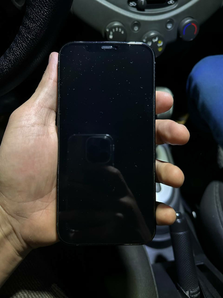 iPhone 12 Pro Max