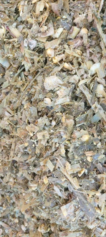 Mol va qóylar  uchun  SILOS  (makka payani mayda órilgani)