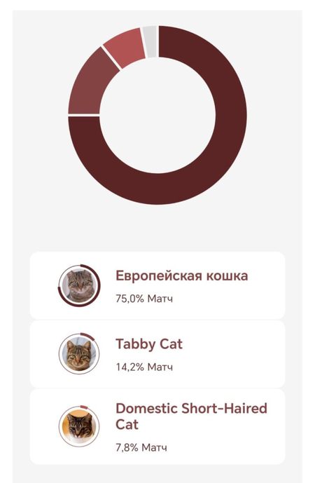Mushik sotiladi Европеская