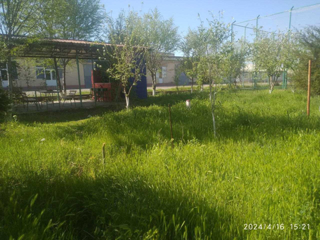 Бизнес учун тайёр бино
