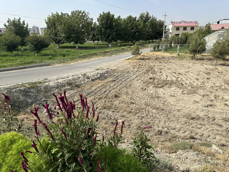 Noturar yer Oqdaryo tumani Sayohat