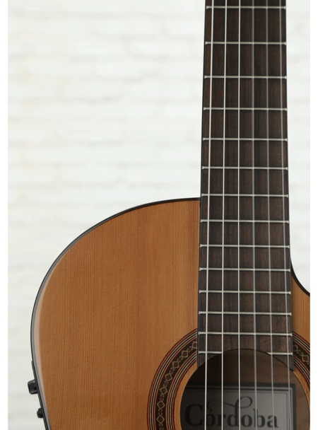 Gitara Cardoba C5-CE Nylon