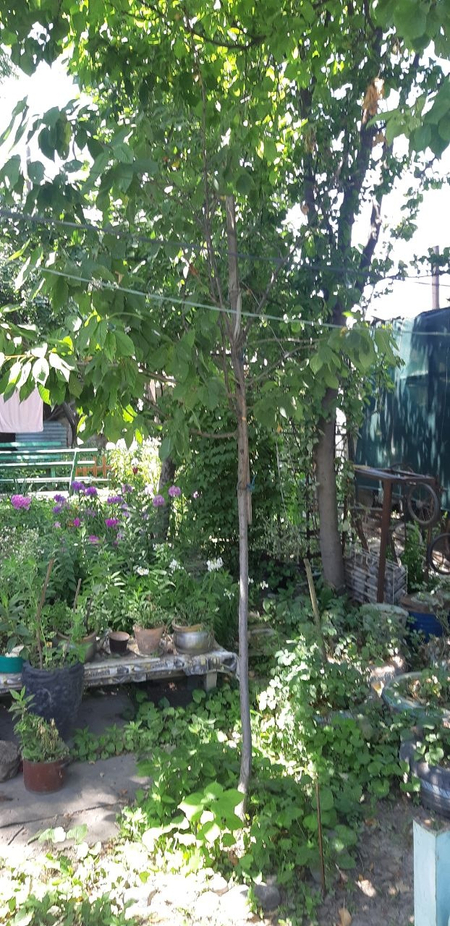 Дом  2 км от Госпитального рынка