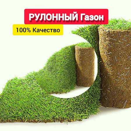 Газон Ландшафт в ташкенте