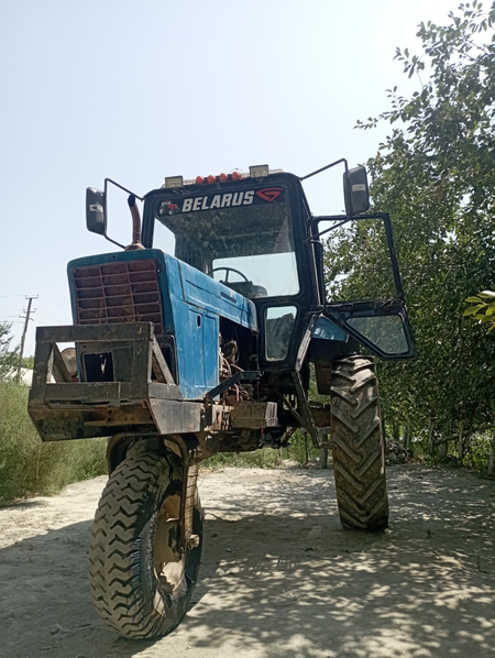 Mtizi belarus 80