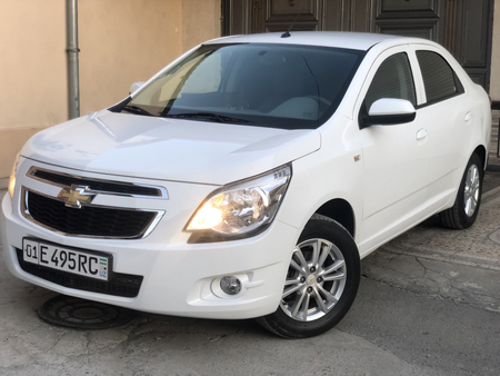 Arenda Cobalt 2023