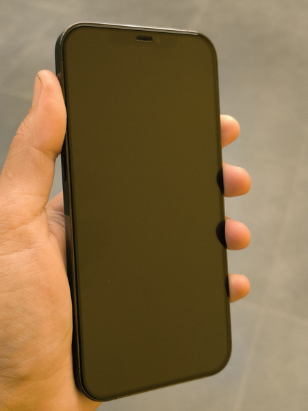 Iphone 12 pro max 256 gb