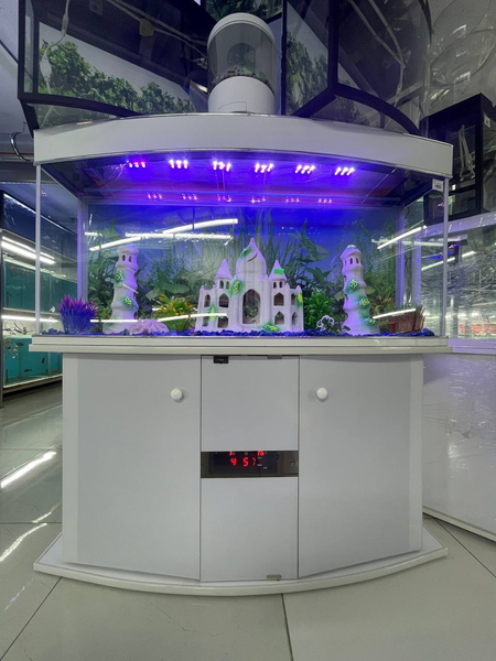 Akvarium oldi avalni