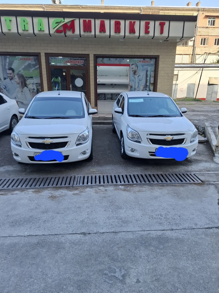 COBALT 2024/25 Вариант Рассрочка