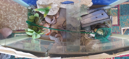 Akvarium Sotiladi