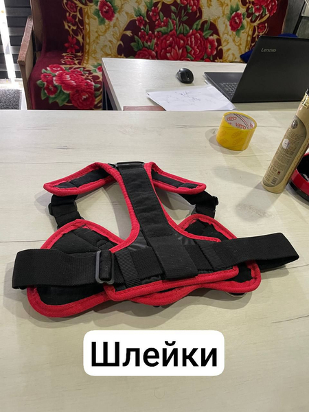 Itlar uchun shleykalar