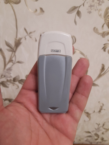 Nokia 6100 original