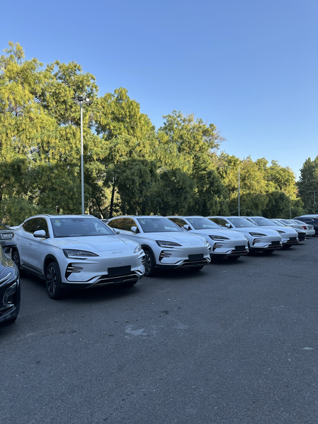 Byd Chempion 2025 rest