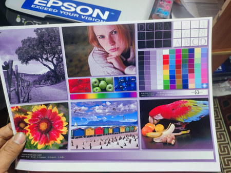 Epson L 119 tiniq tez ishlidii prabegi 500 ta, dyuz 100% idialni