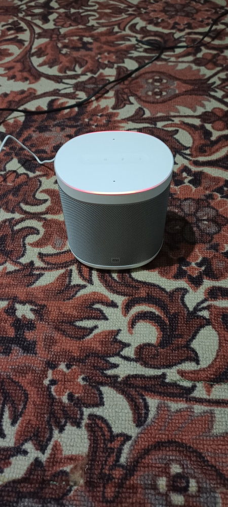 Mi Smart Speaker