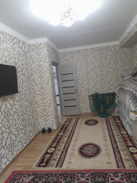 ИПОТЕКА 2/4/9 ТТЗ-2 Диадора N81