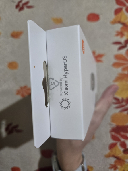 Xiaomi Smart Band 9