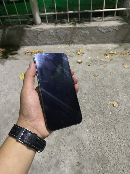 iPhone 12 pro max
