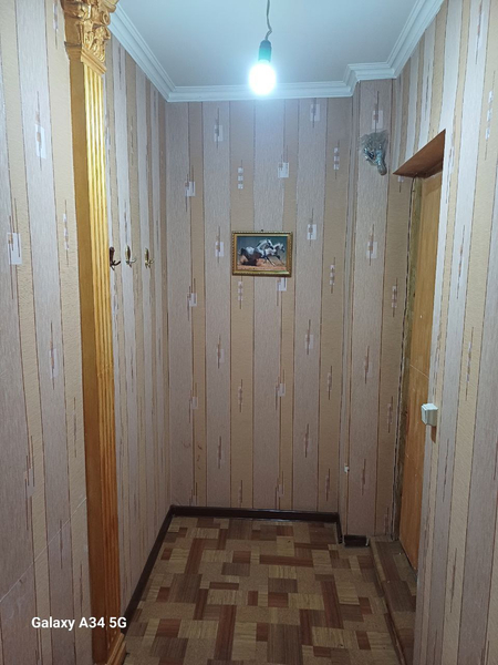 Sotamiz pul zaril kami bor