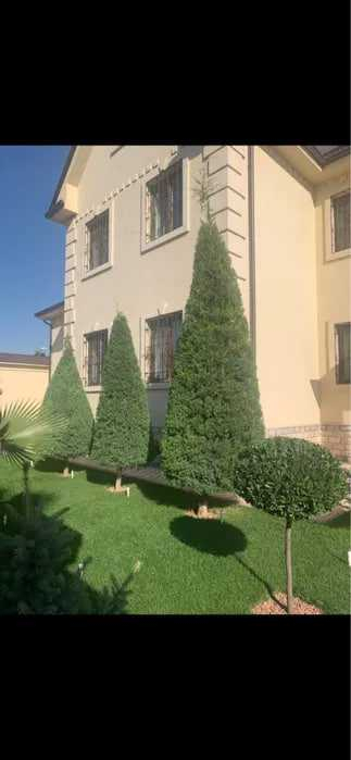 Продается Евродом Ориентир Луначарский  825м2