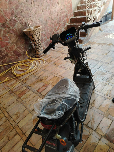 Skuter drongo 2024