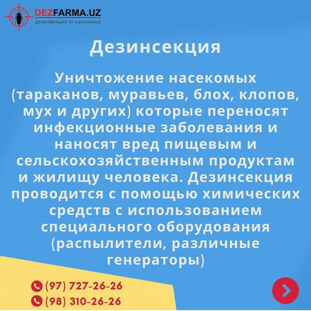 Дезинфекция уничтожение клопов дизинфекция Dezinfeksiya klapa