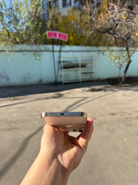 iphone 12 pro max LLA