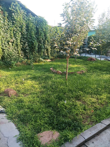 3 xonali 4 sotix Xovli uy sotiladi. Axunboboyev ko'chasi