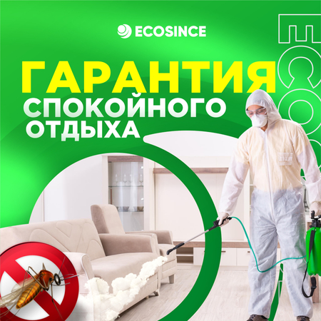 Дезинфекция в Ташкенте