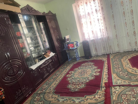 Паведа кошеде жаиласкан
