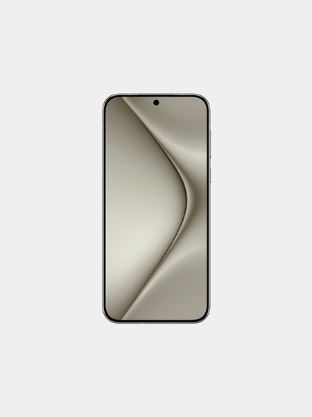 Huawei  p 70      12/256 gb silver