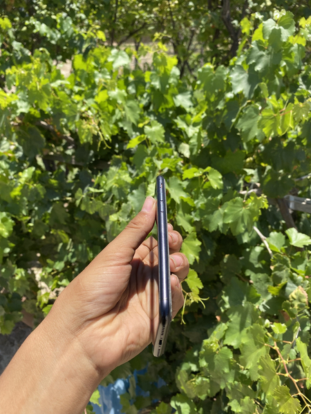 iphone se 2020