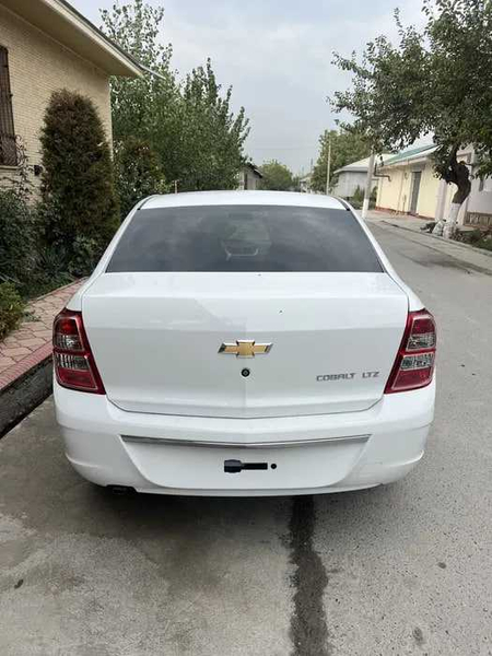 Cobalt Bolib Tolashga beriladi