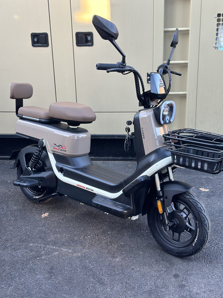 Skuter (armada motors)