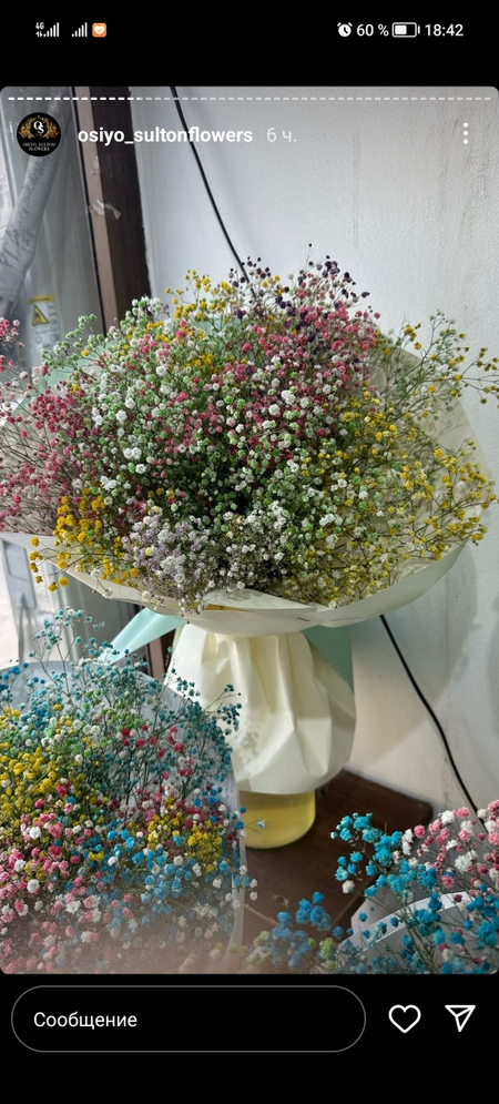 Цветы, Flowers Гуллар