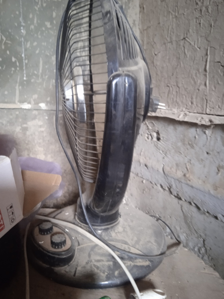 Electric isitgisht