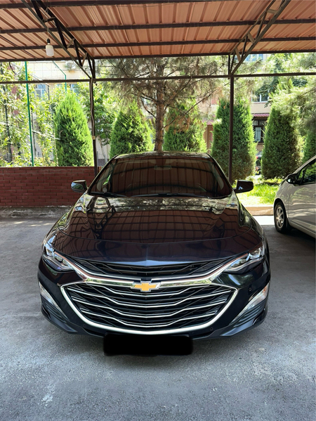 Malibu 2, 2018, 2.4