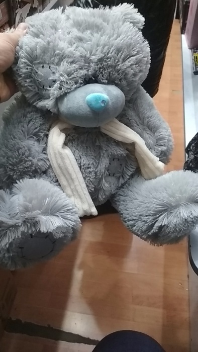 Teddi ayiq