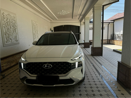 Hyundai Santafe 2022